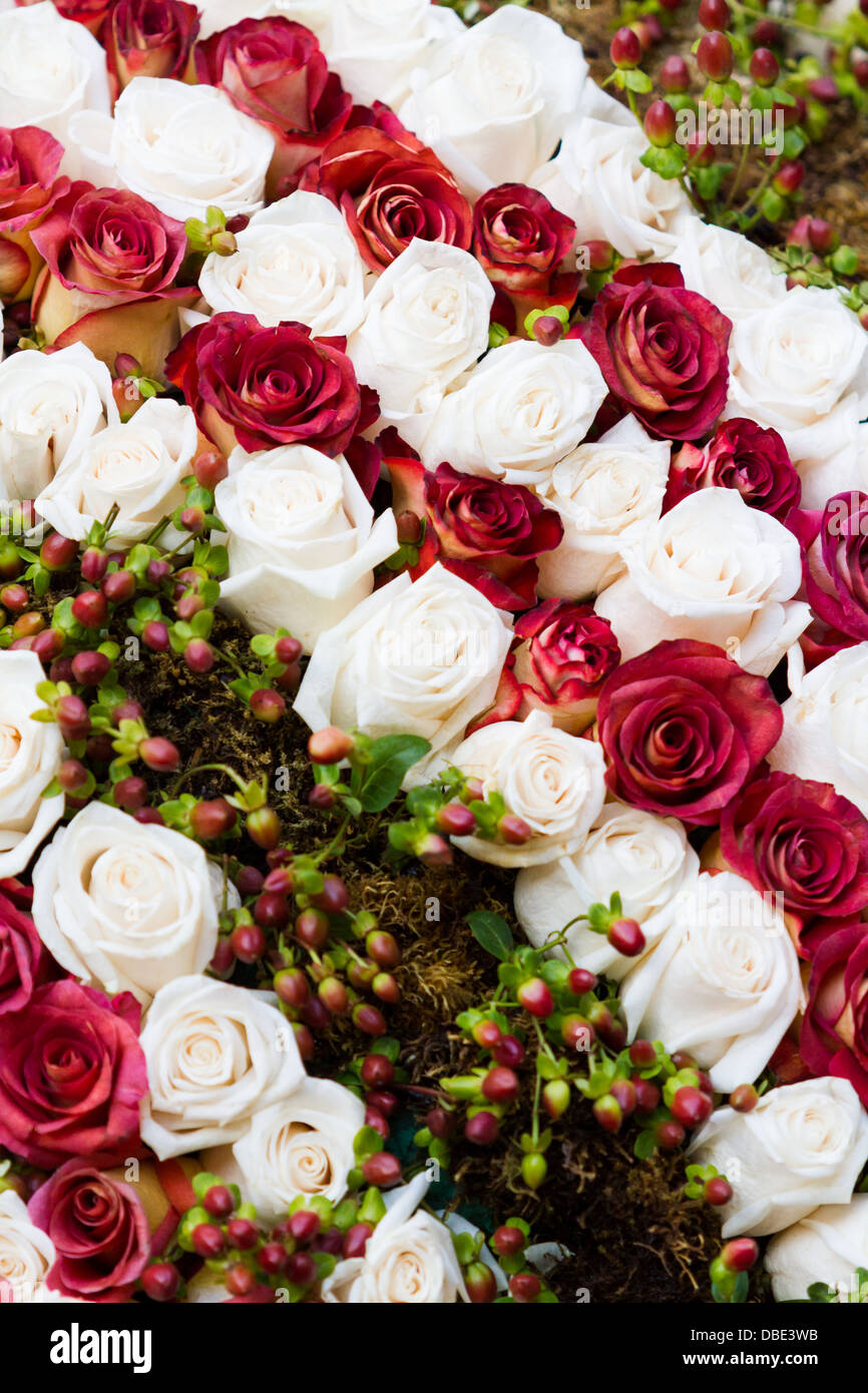 Red and white roses in arrangement Stock Photo - Alamy