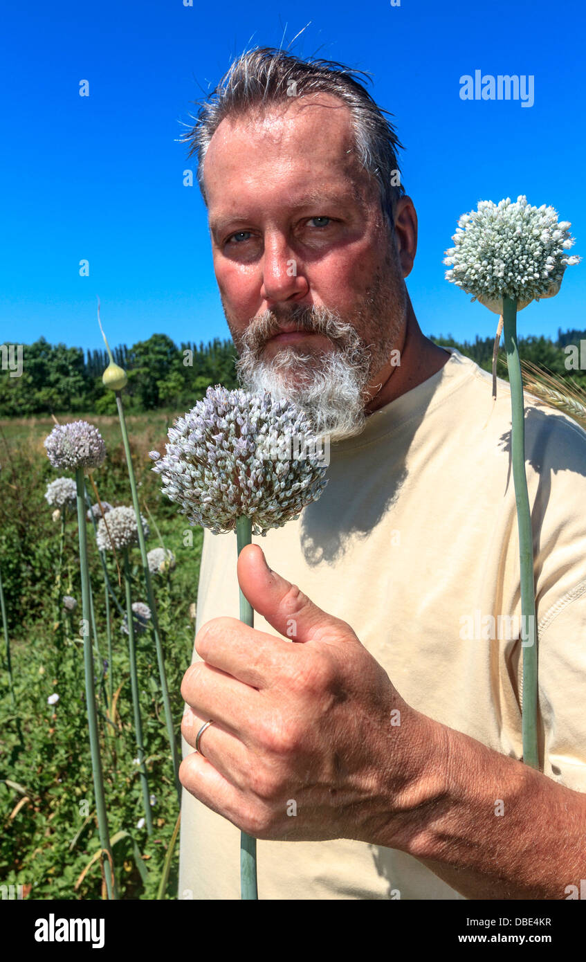 Executive Chef Brian Scheehser with leek flowers at his farm Stock ...
