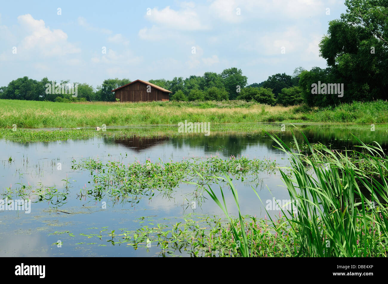 Illinois wetland marsh with storage barn Stock Photo - Alamy