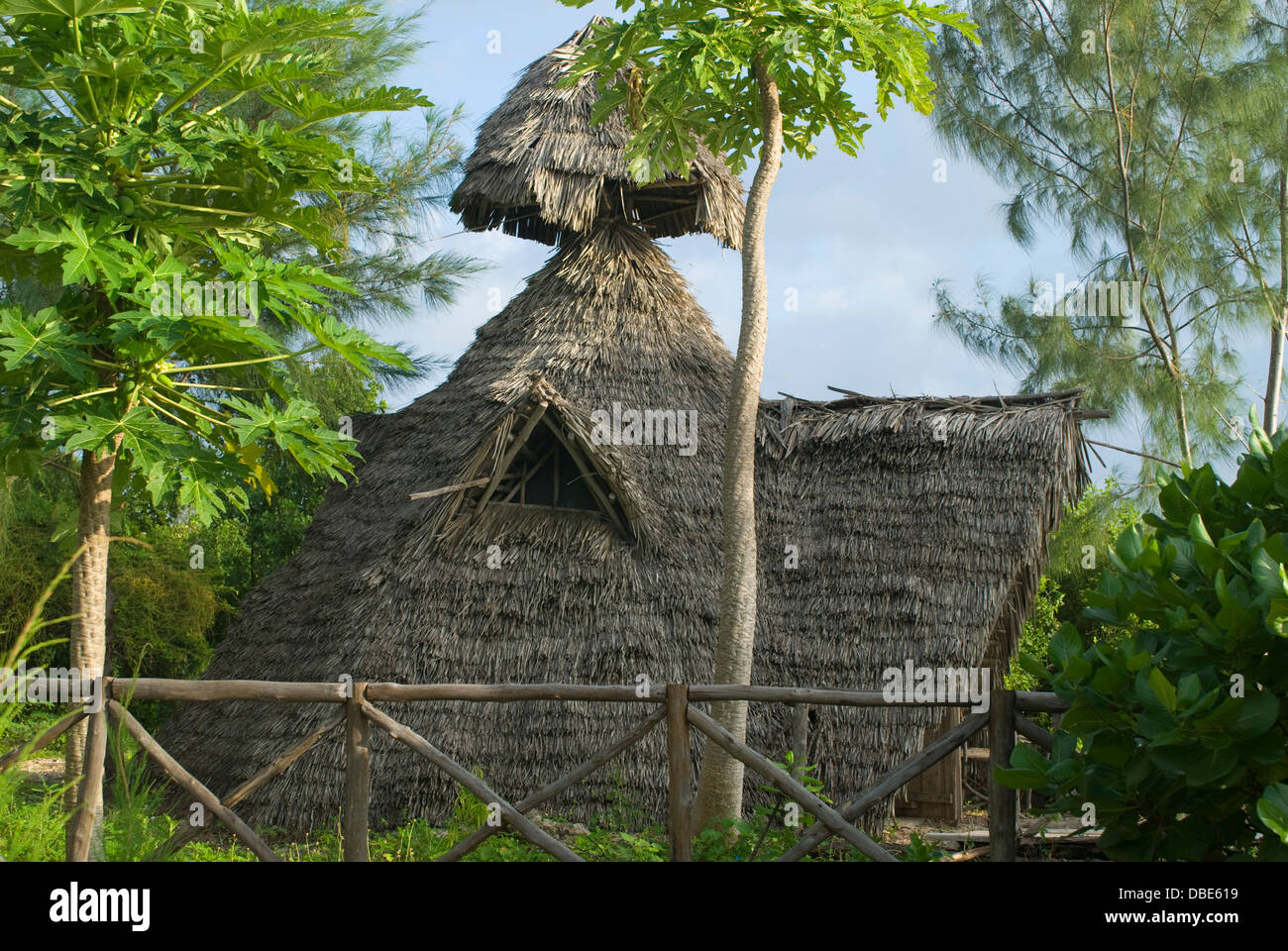 Traditionally hut with thatched roof at Mbuyuni beach, Zanzibar Stock ...