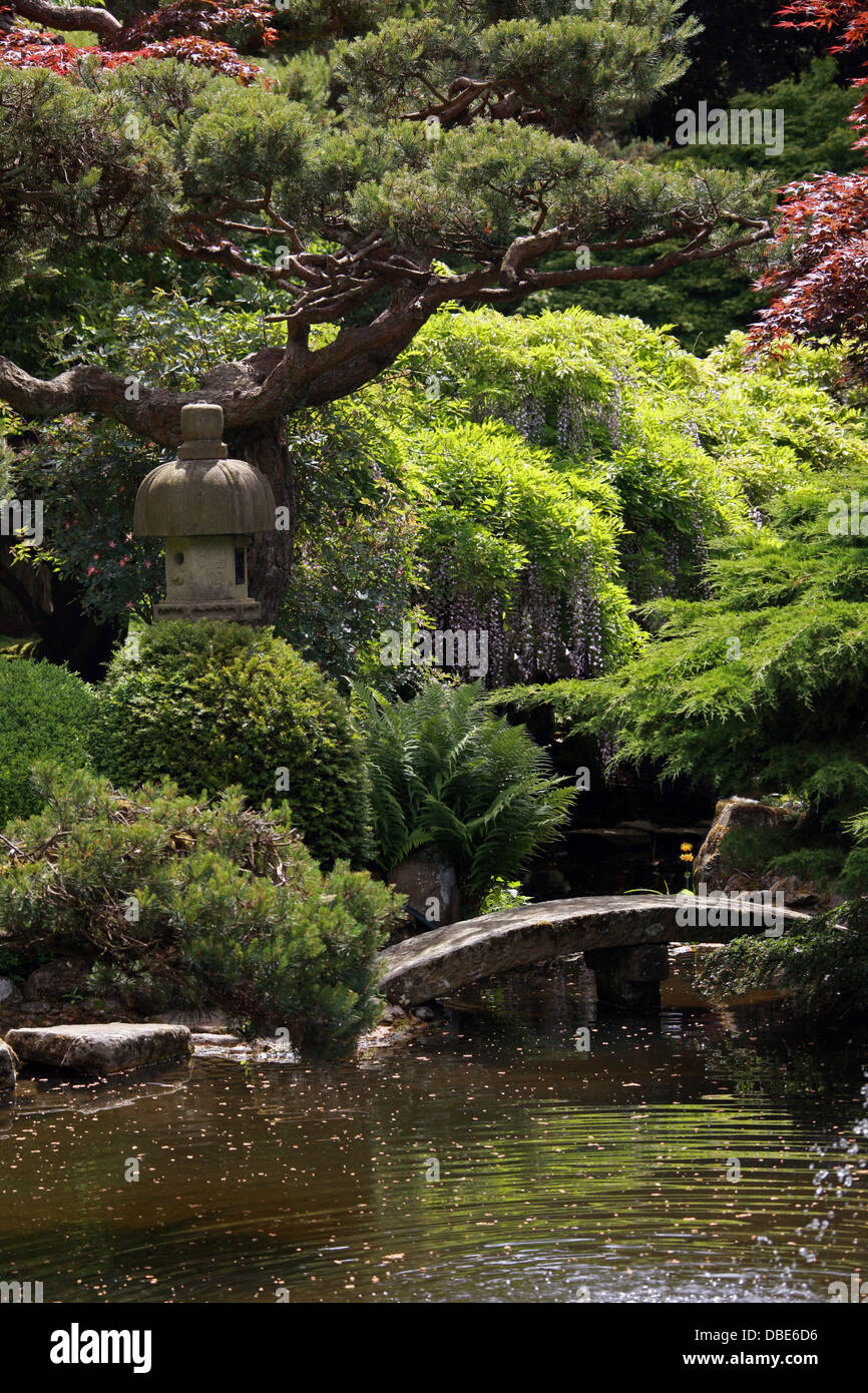 The Japanese Garden, Cottered, Hertfordshire Stock Photo - Alamy