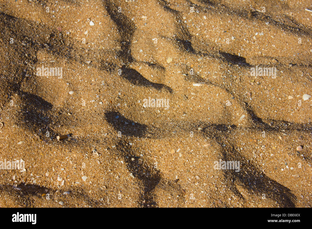 yellow dirty sand in daylight Stock Photo - Alamy