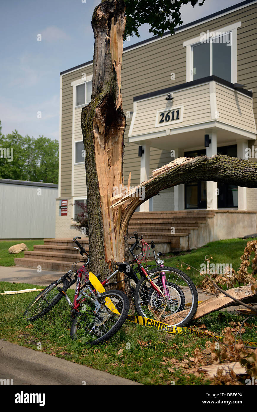 tree sidewalk minneapolis storm Stock Photo - Alamy