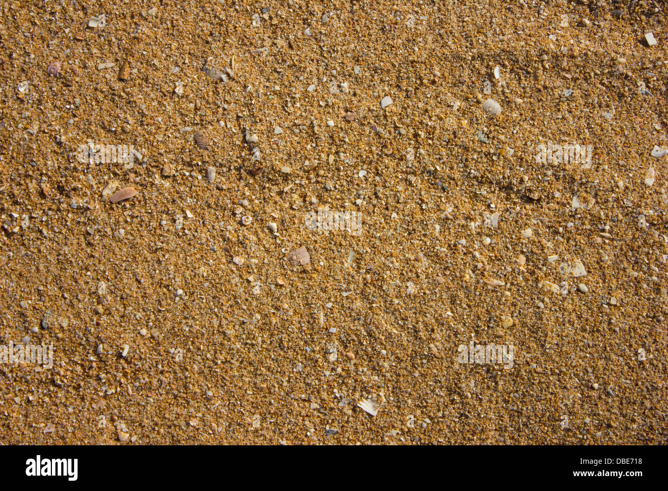 yellow dirty sand in daylight Stock Photo - Alamy