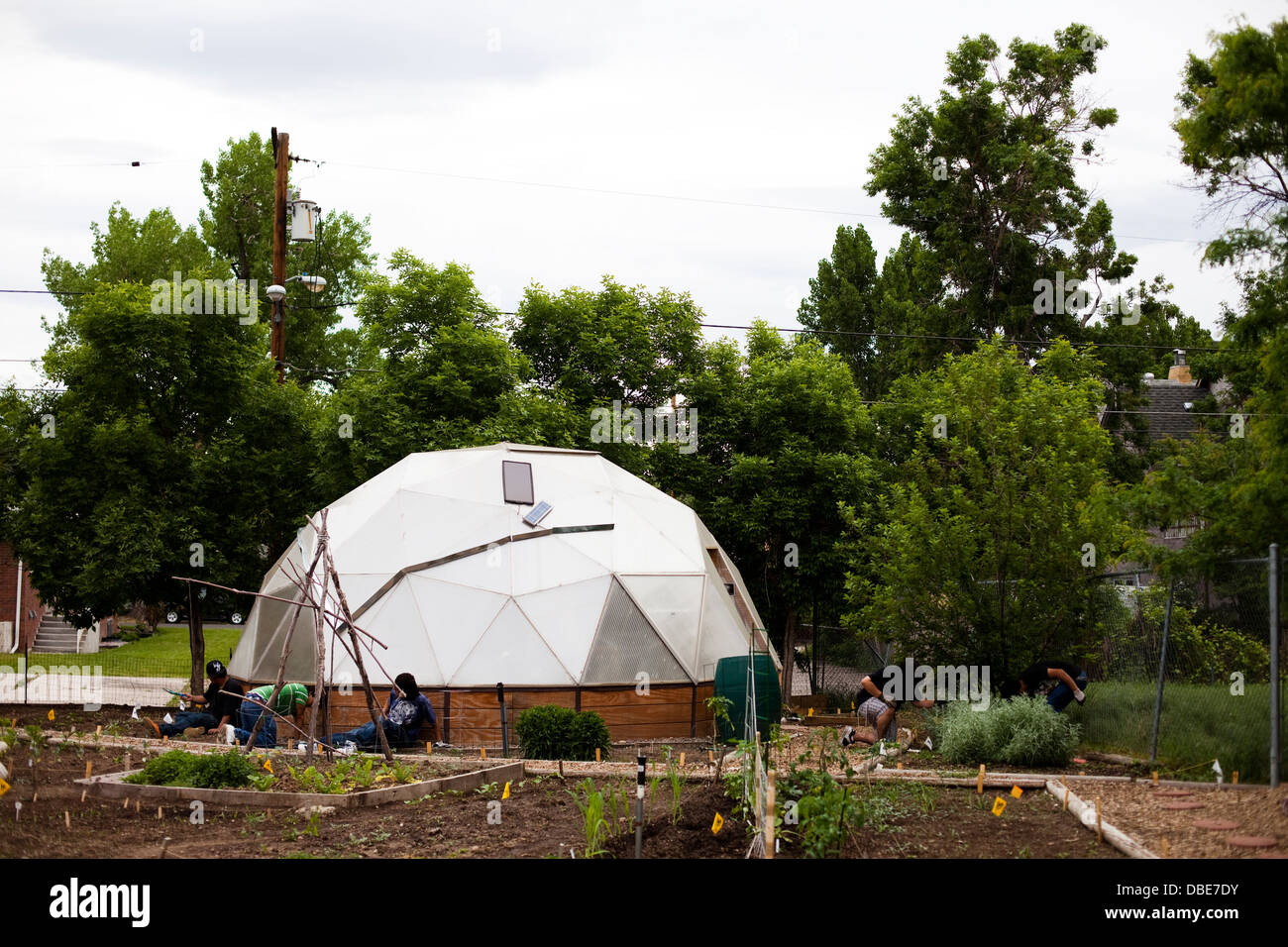 An urban farm used by students in a suburb of Denver, CO Stock Photo ...