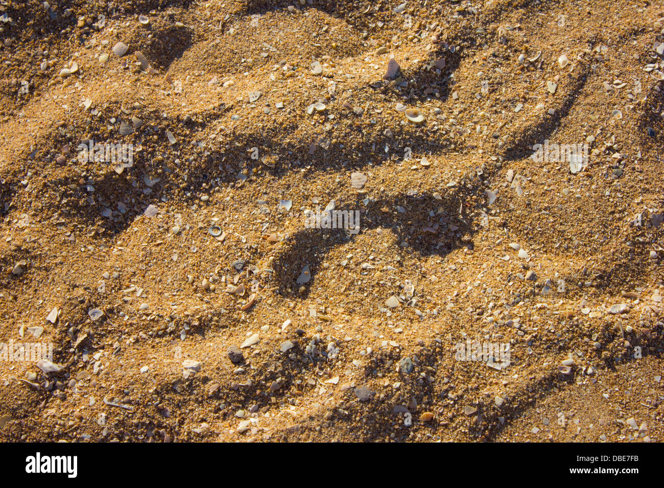 yellow dirty sand in daylight Stock Photo - Alamy