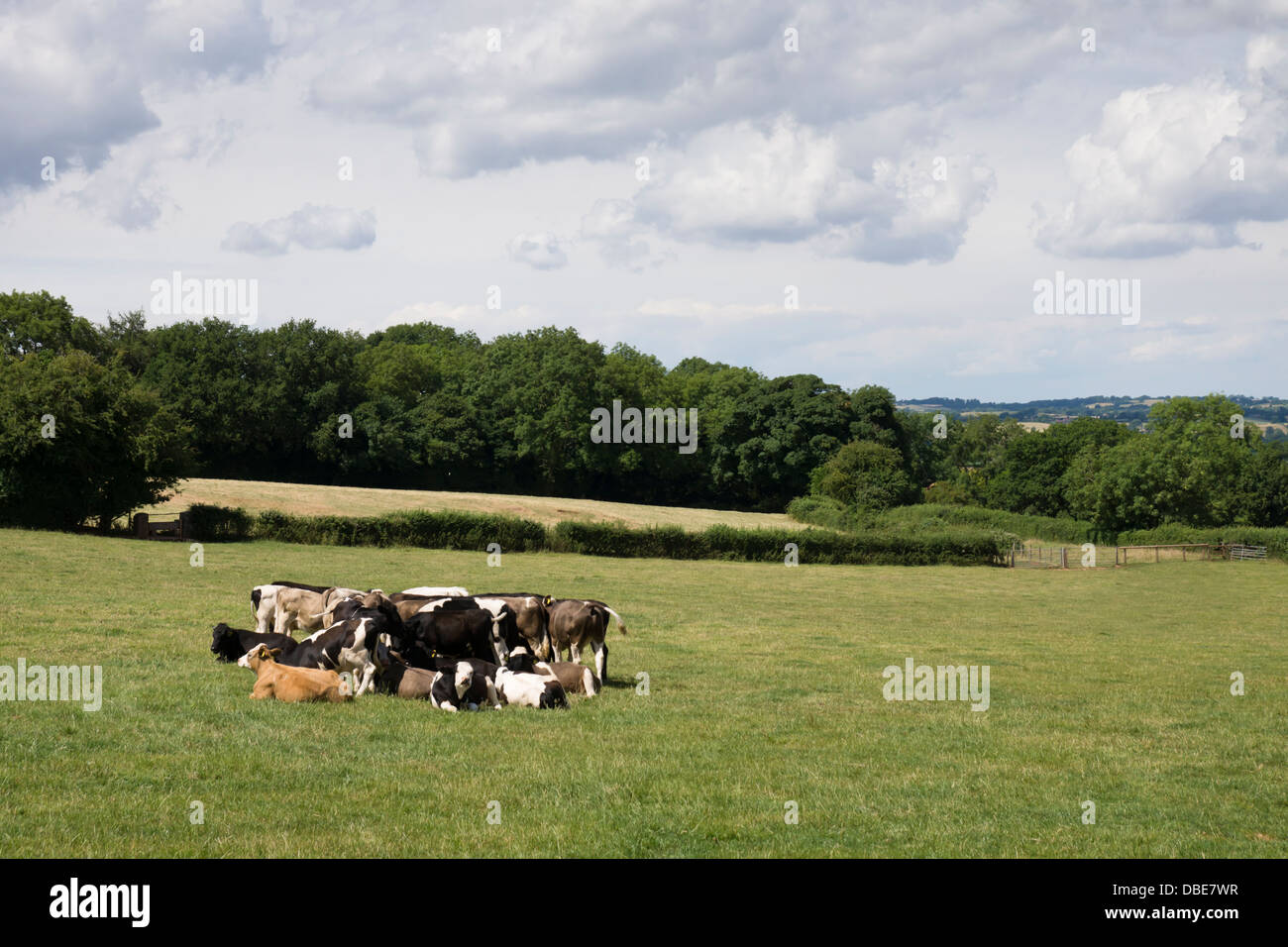 Harptree village hi-res stock photography and images - Alamy