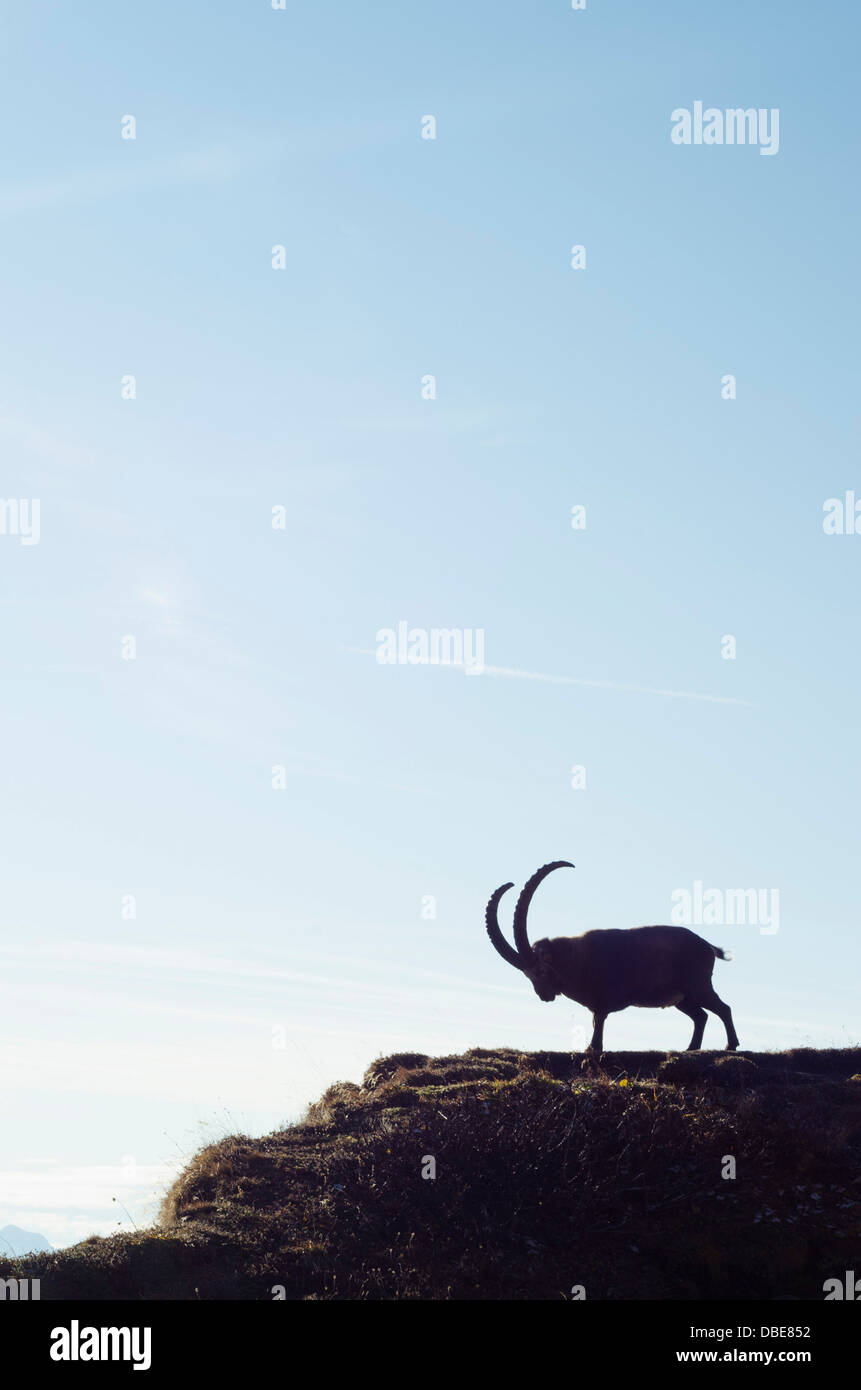 Haute savoie silhouette hi-res stock photography and images - Alamy