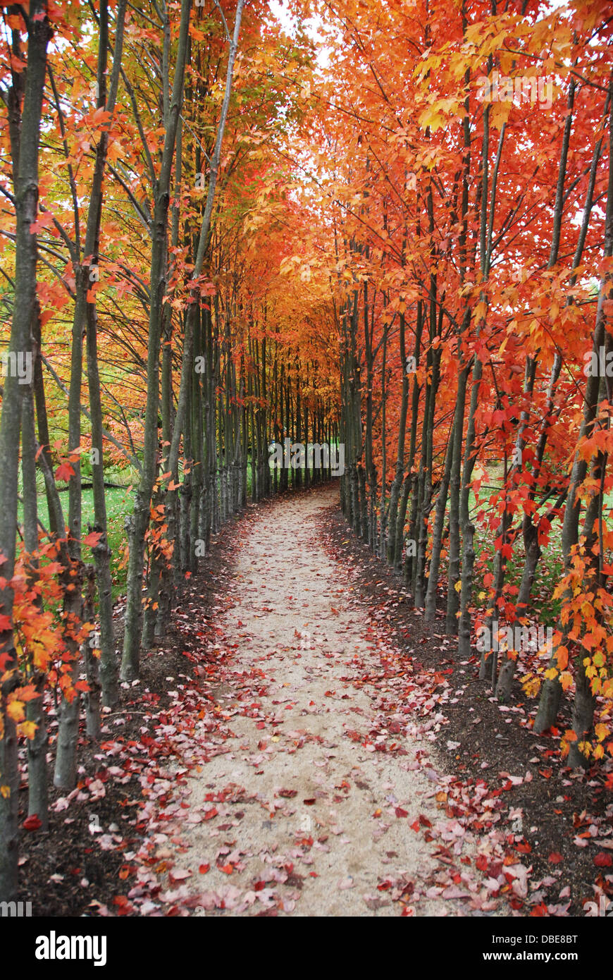 Grounds for sculpture new jersey hi-res stock photography and images ...