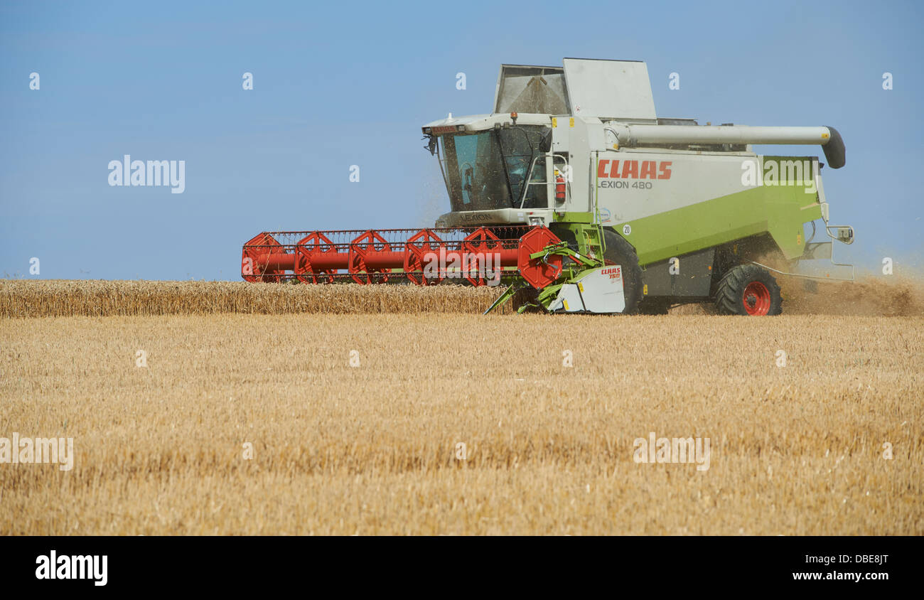 Development agriculture combine harvests wheat hi-res stock photography ...