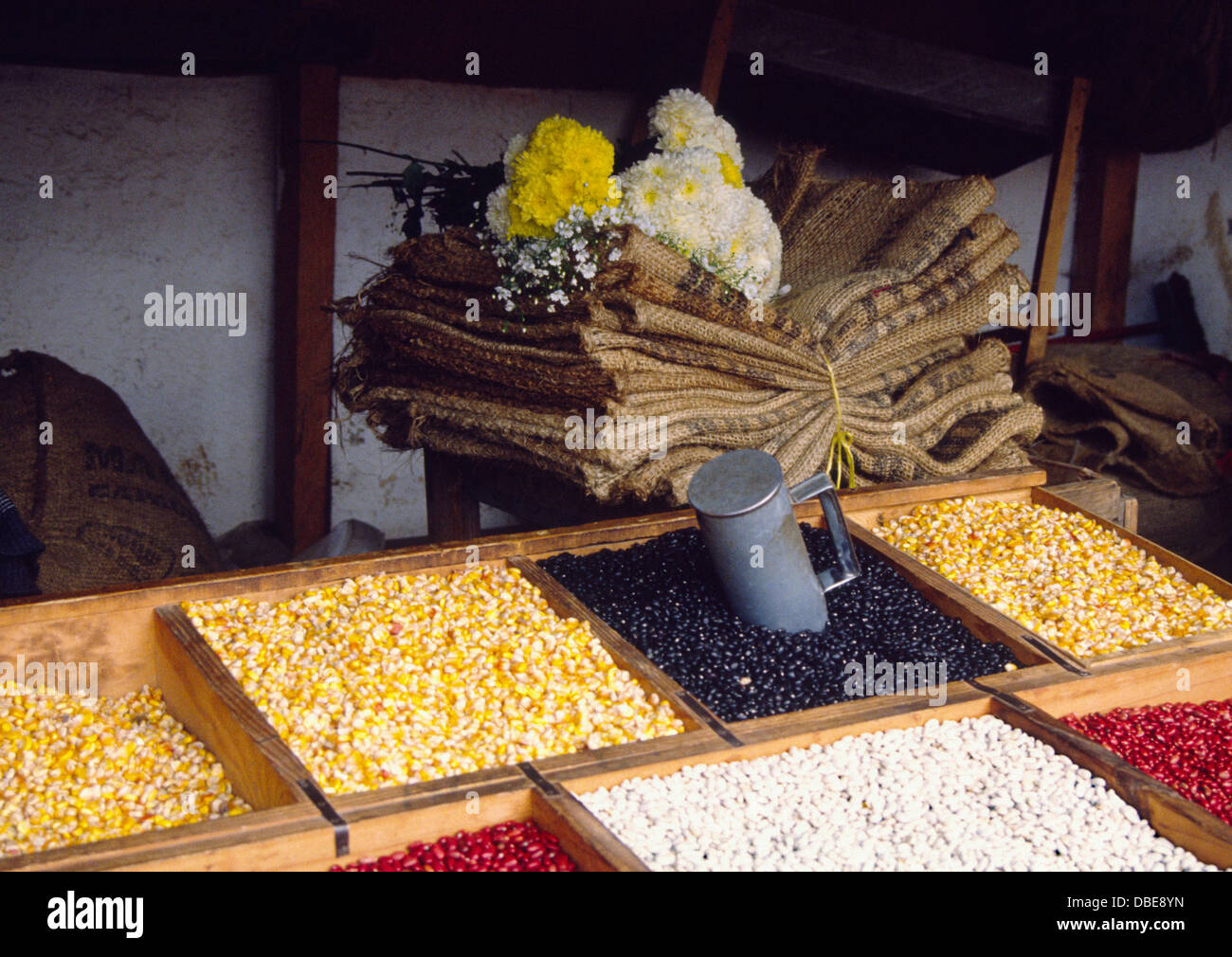Mexico corn crops not field hi-res stock photography and images - Alamy
