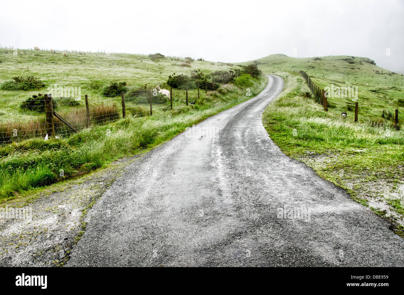 A small country lane running through the farms on top of a misty ...
