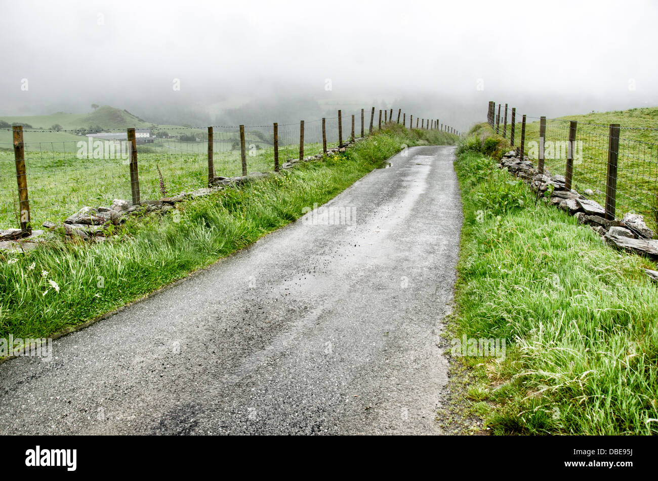 A small country lane running through the farms on top of a misty ...