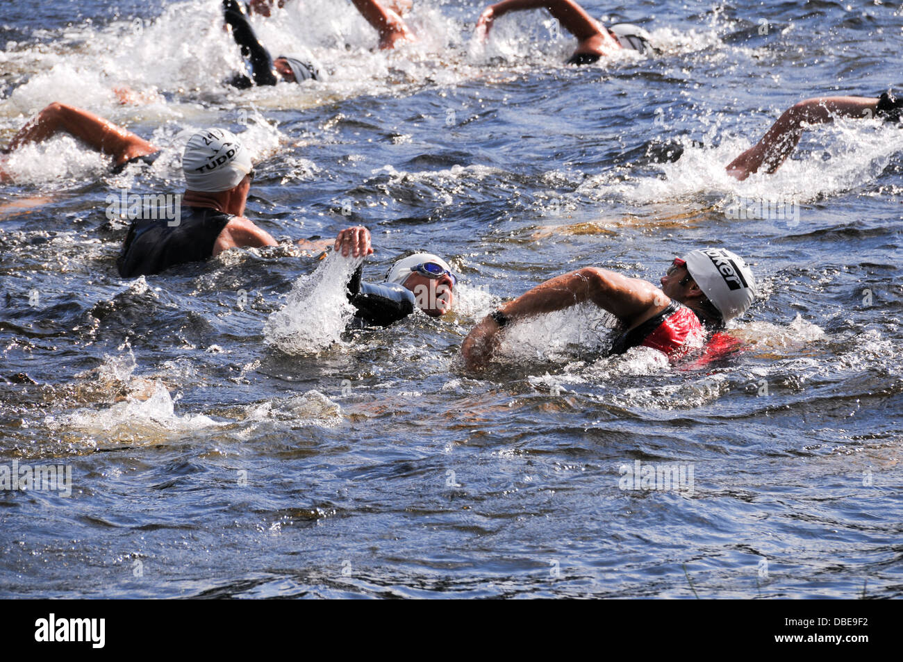 Open water swimmers hi-res stock photography and images - Alamy
