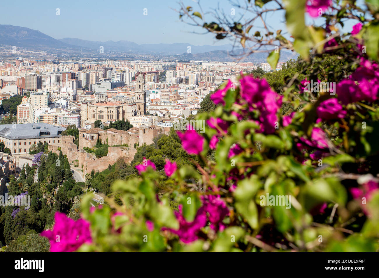 Malaga spain city spring hi-res stock photography and images - Alamy