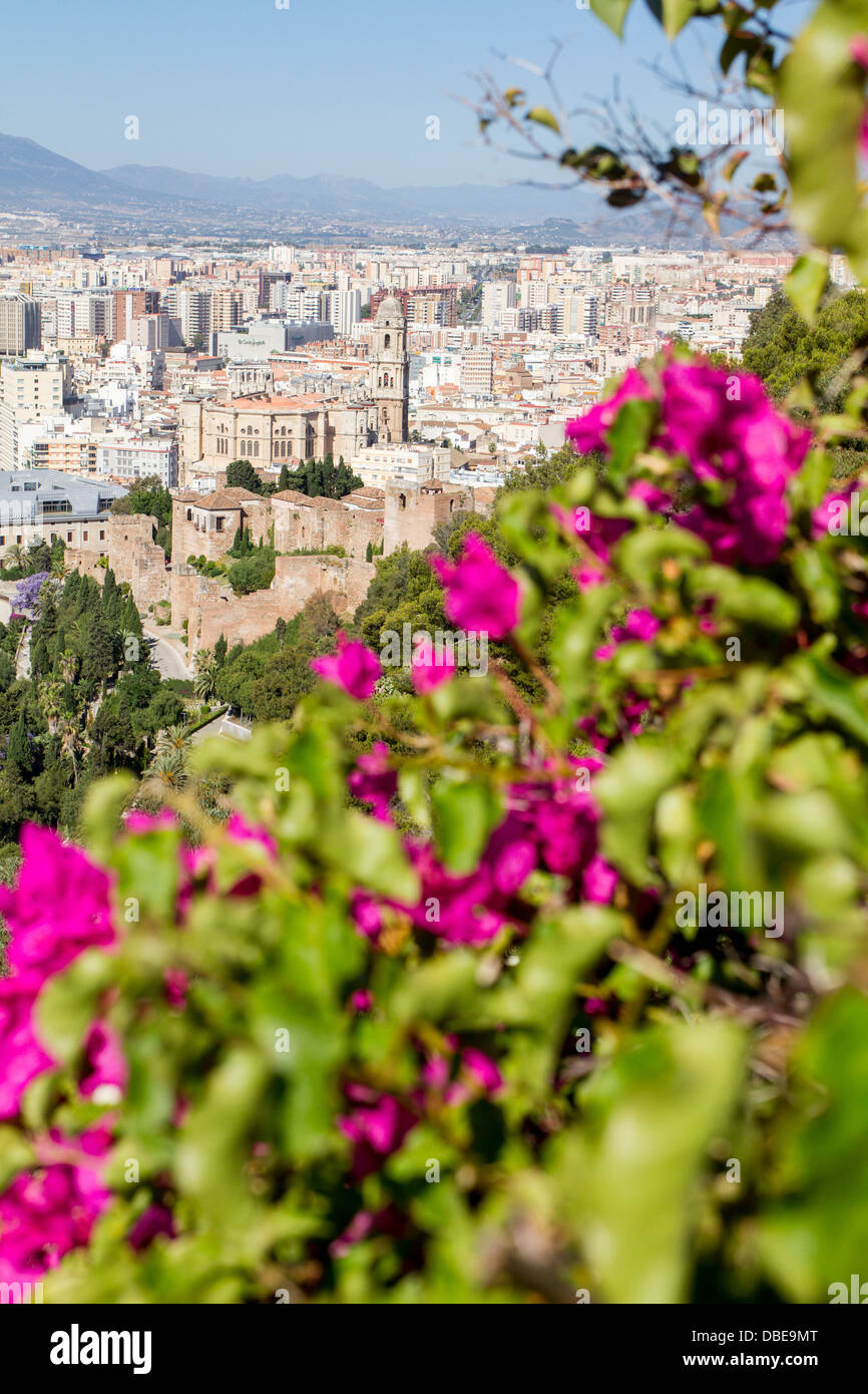 Malaga spain city spring hi-res stock photography and images - Alamy