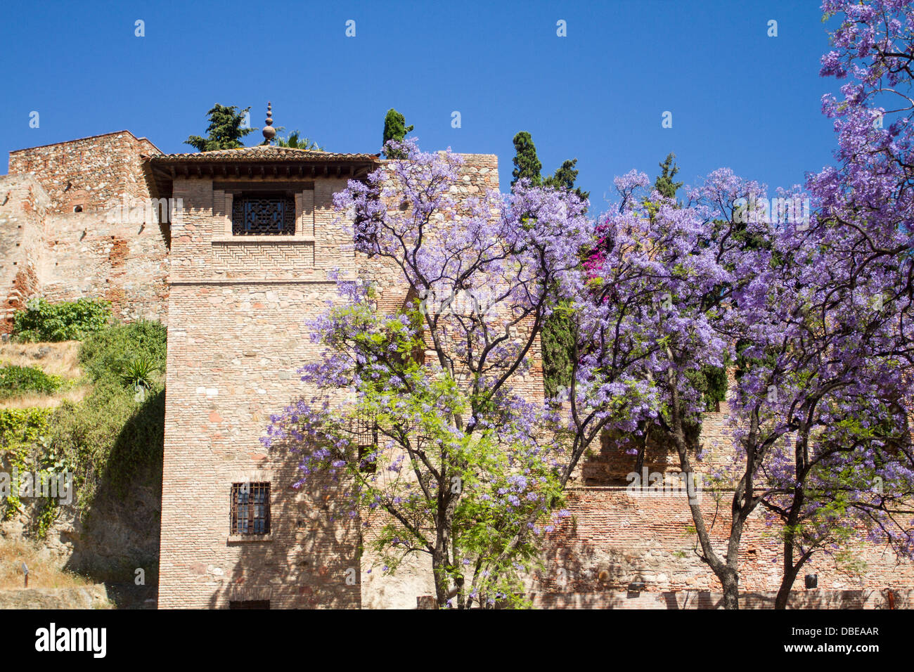 Alcazaba malaga hi-res stock photography and images - Alamy