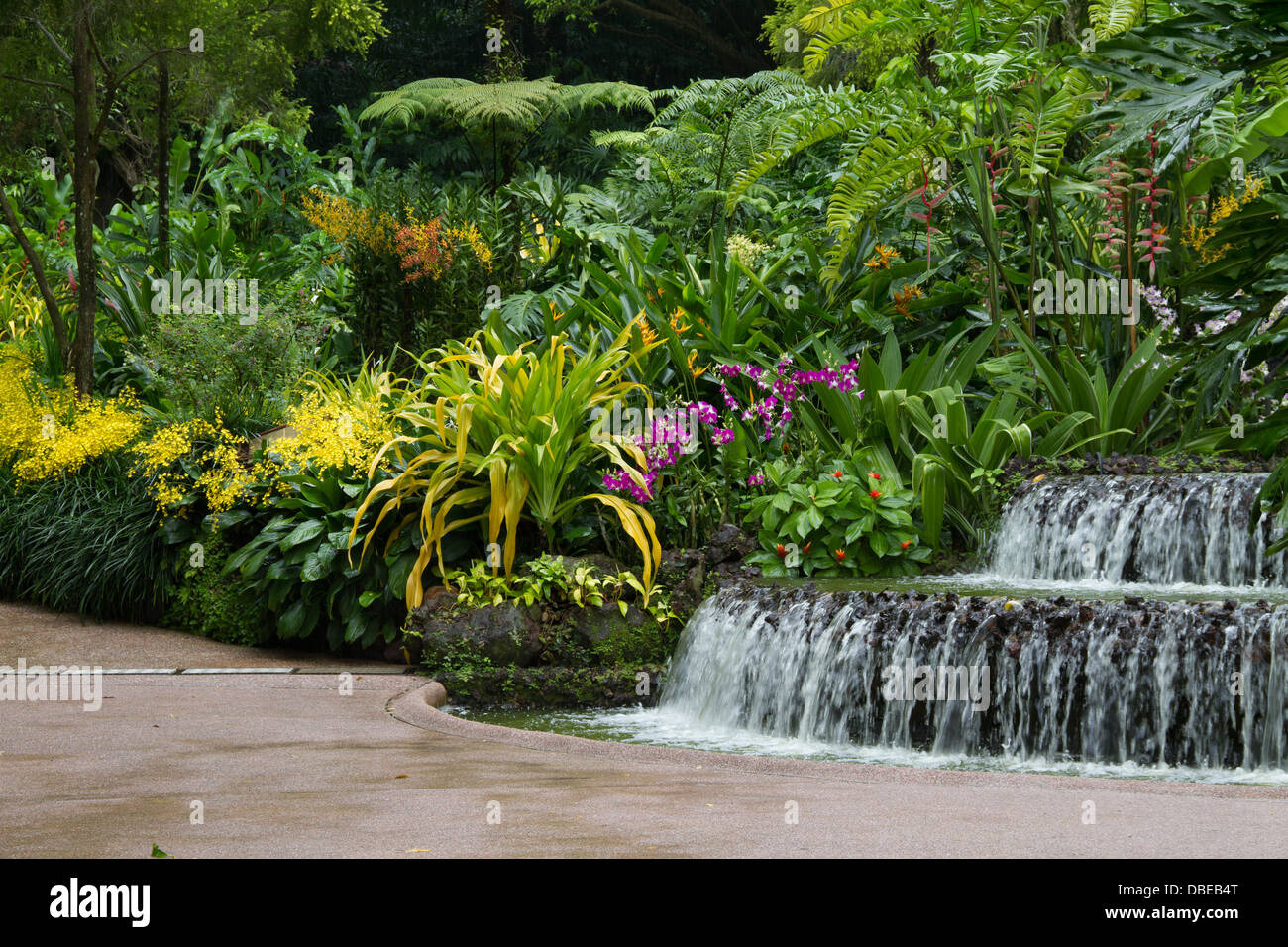 Water feature at Singapore Botanical Gardens, Singapore Stock Photo - Alamy