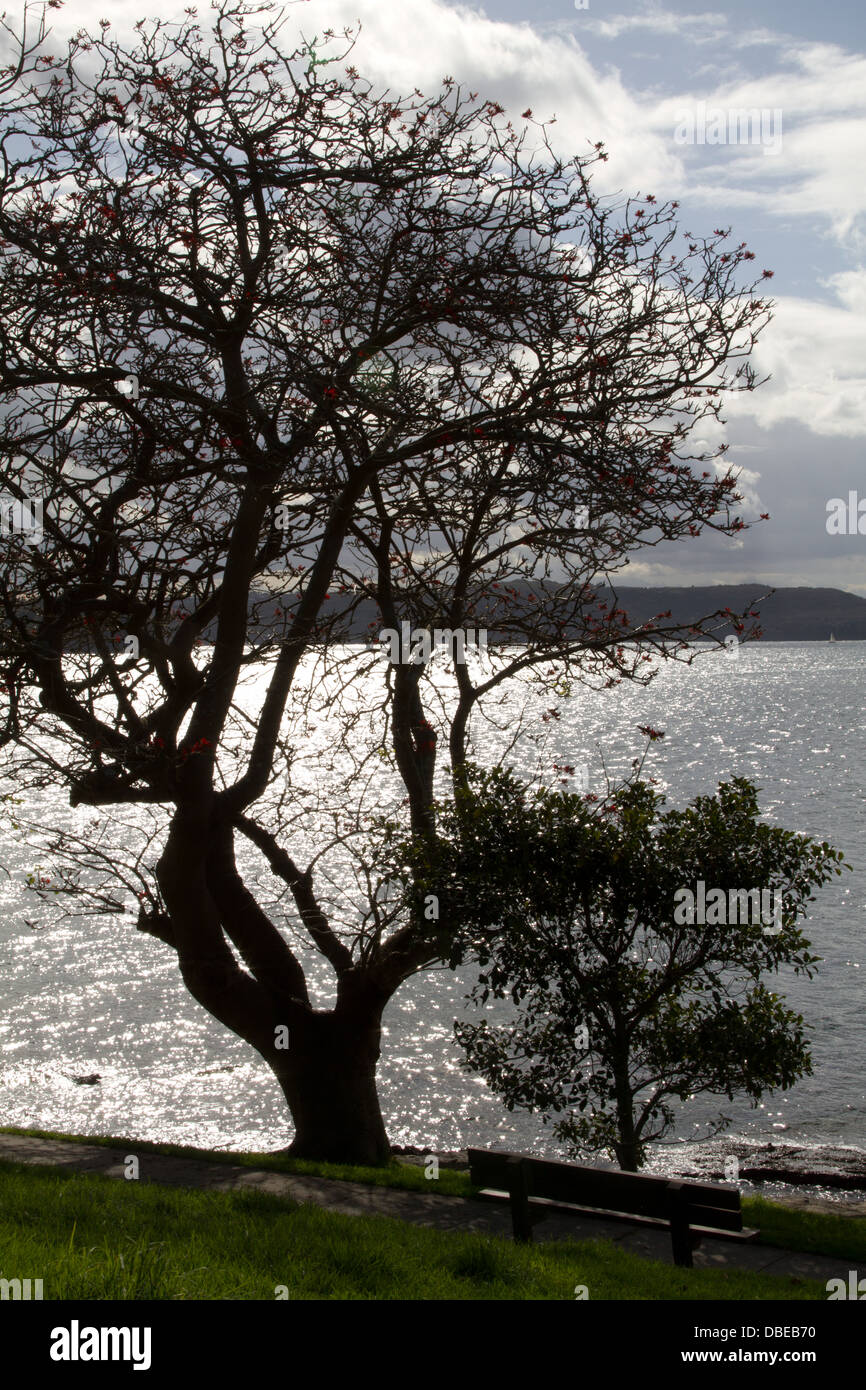 Sydney harbour nsw hi-res stock photography and images - Alamy