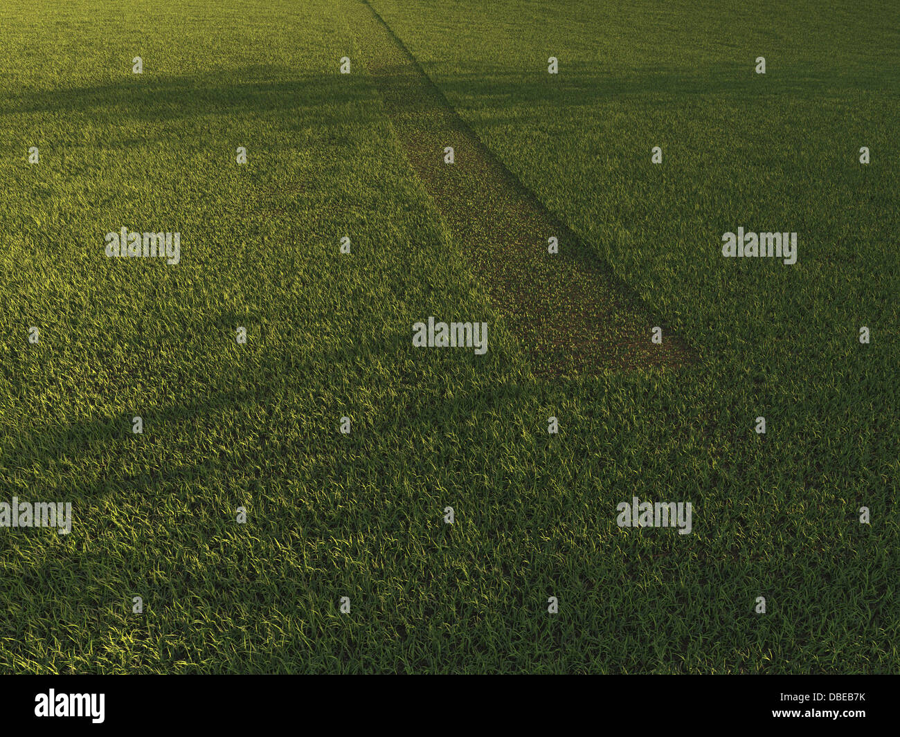 Green grass background texture straight made in3d software Stock Photo ...