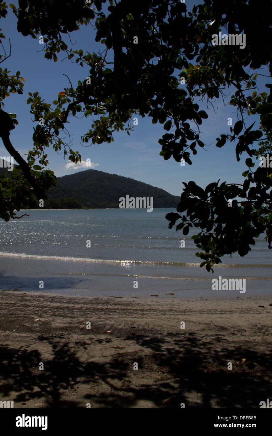 Daintree Rainforest Beach, Queensland, Australia Stock Photo - Alamy