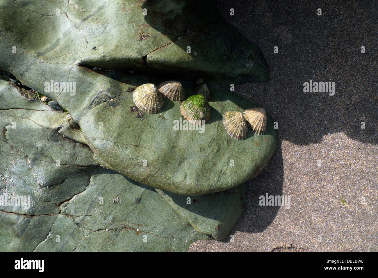 Pembrokeshire wales rocks geology hi-res stock photography and images ...