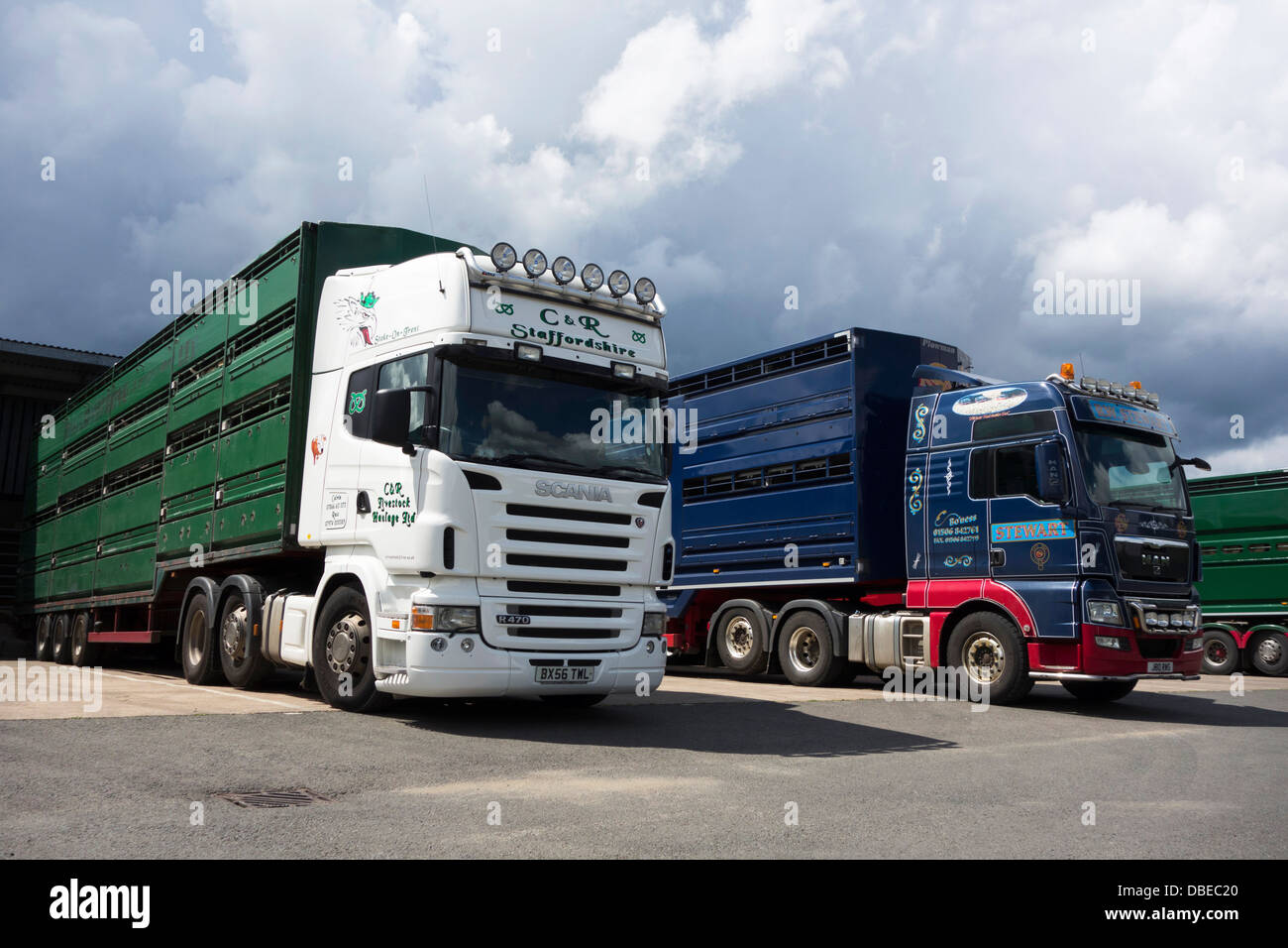 Cattle floats at Bakewell Livestock Market, Bakewell, Derbyshire ...