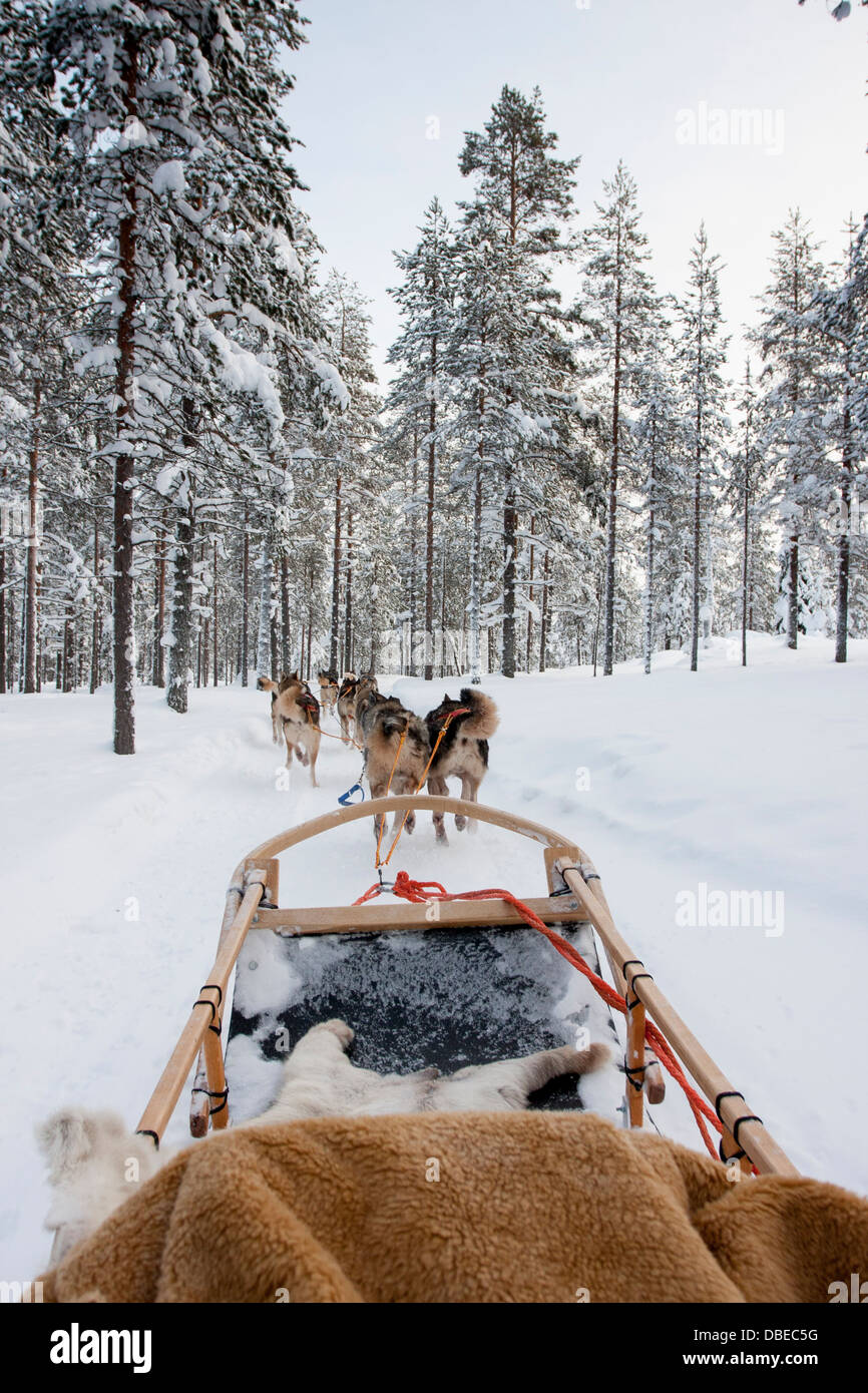 Husky lapland finland hi-res stock photography and images - Alamy