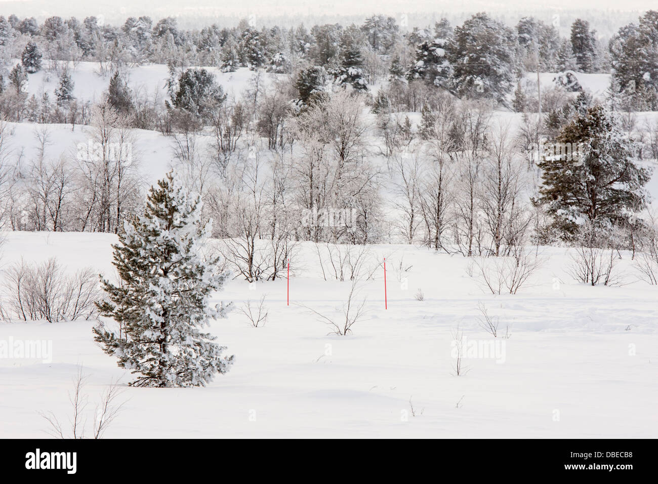 Winter landscape in Finland - Snowy arctic scenery in Finnish Lapland ...