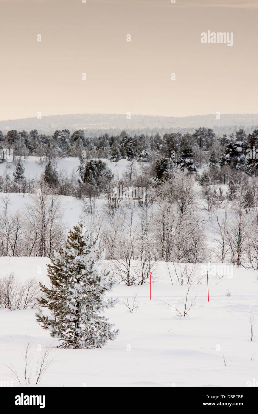 Winter landscape in Finland - Snowy arctic scenery in Finnish Lapland ...