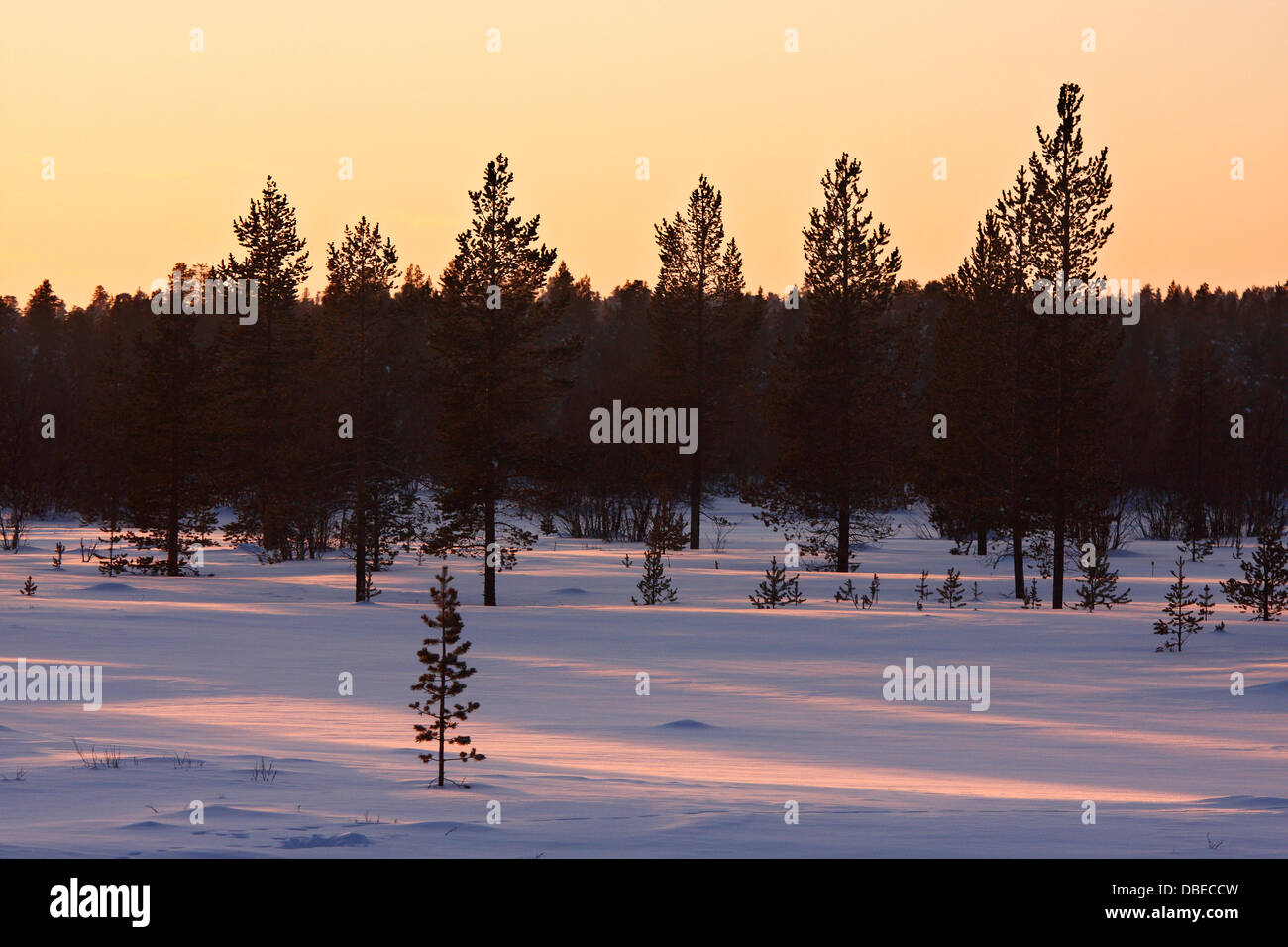 Sunset landscape in Finland - Arctic winter scene in Finnish Lapland ...
