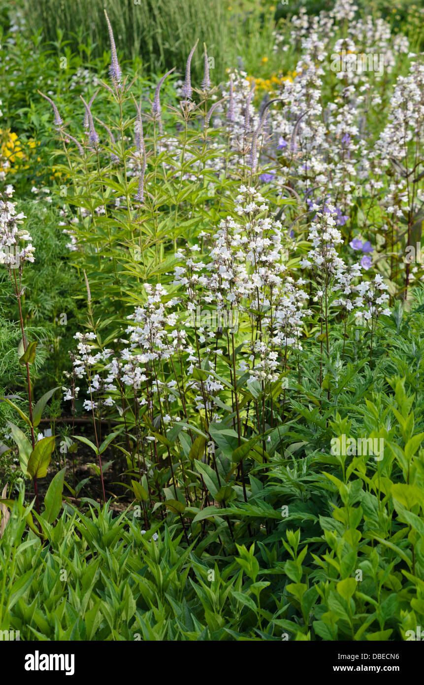 Talus slope hi-res stock photography and images - Alamy