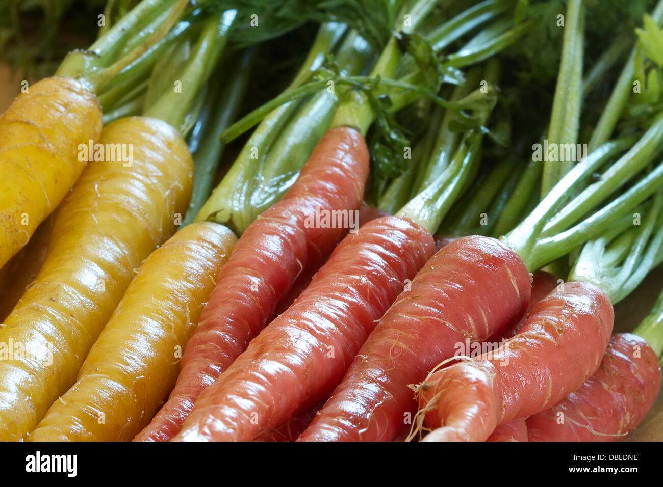Thumbelina carrot hi-res stock photography and images - Alamy
