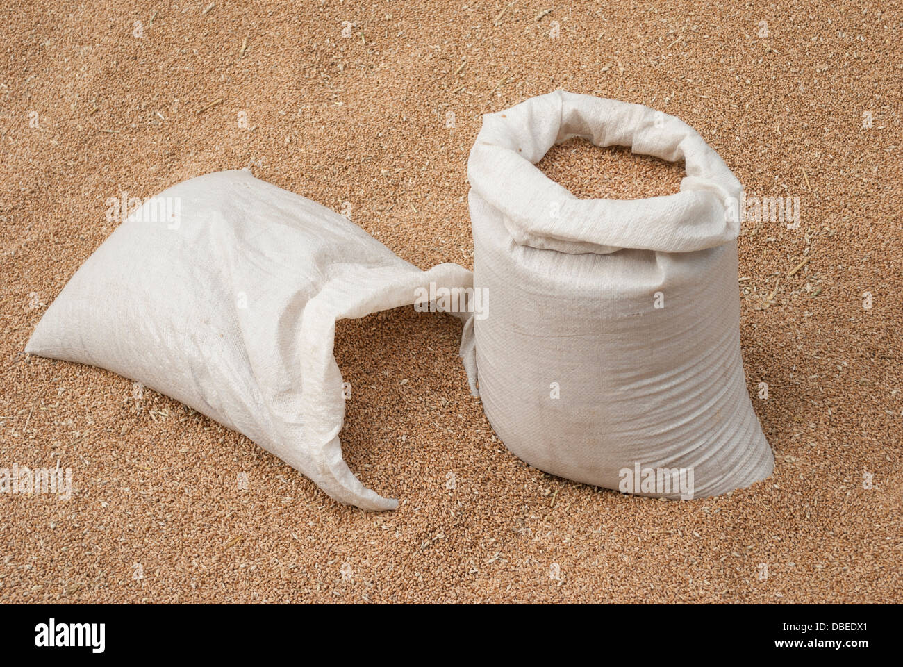 Sacks of grain hi-res stock photography and images - Alamy