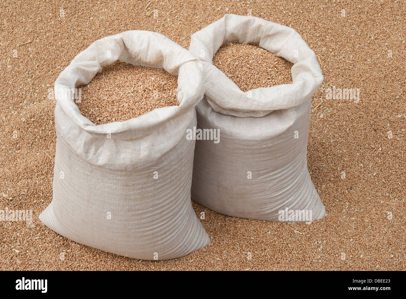 Sacks of grain hi-res stock photography and images - Alamy