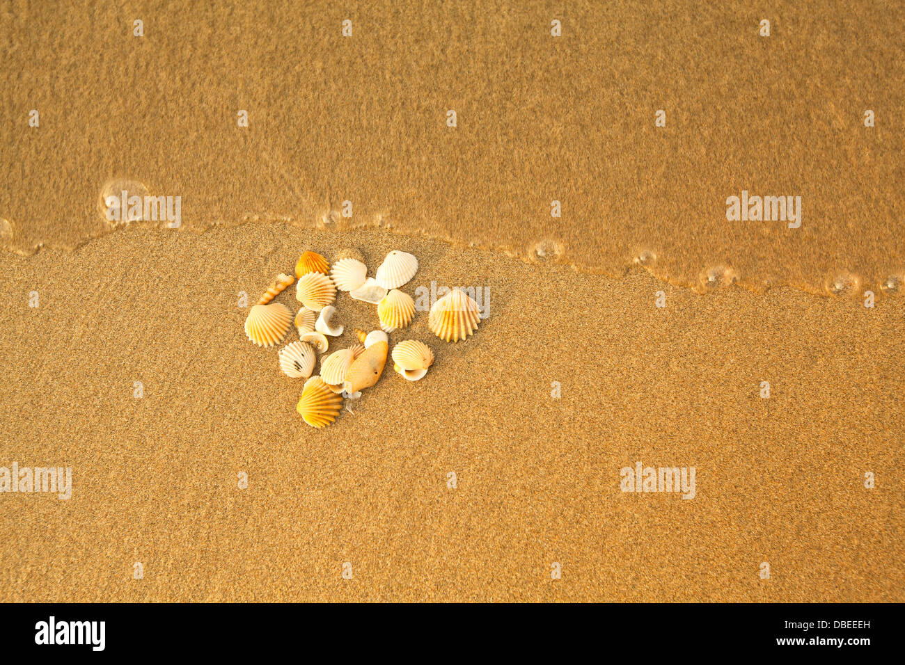 Texture of beach sand and sea shells, with a soft wave Stock Photo - Alamy