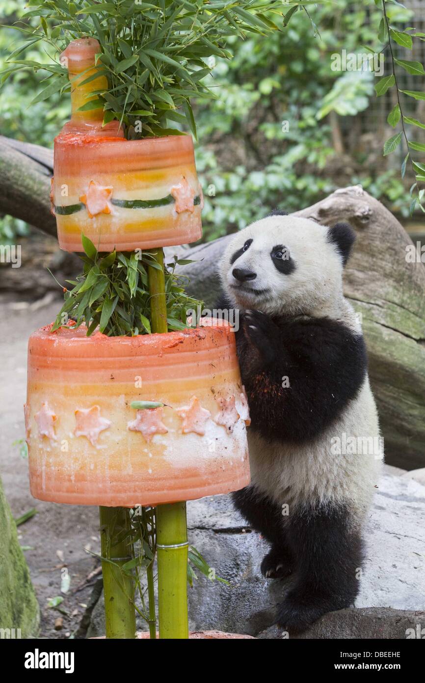 Giant panda birthday cake hi-res stock photography and images - Alamy