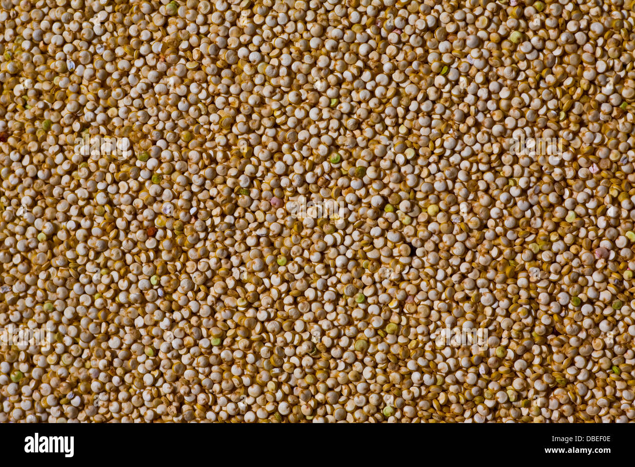Dietary fibre bulk hi-res stock photography and images - Alamy