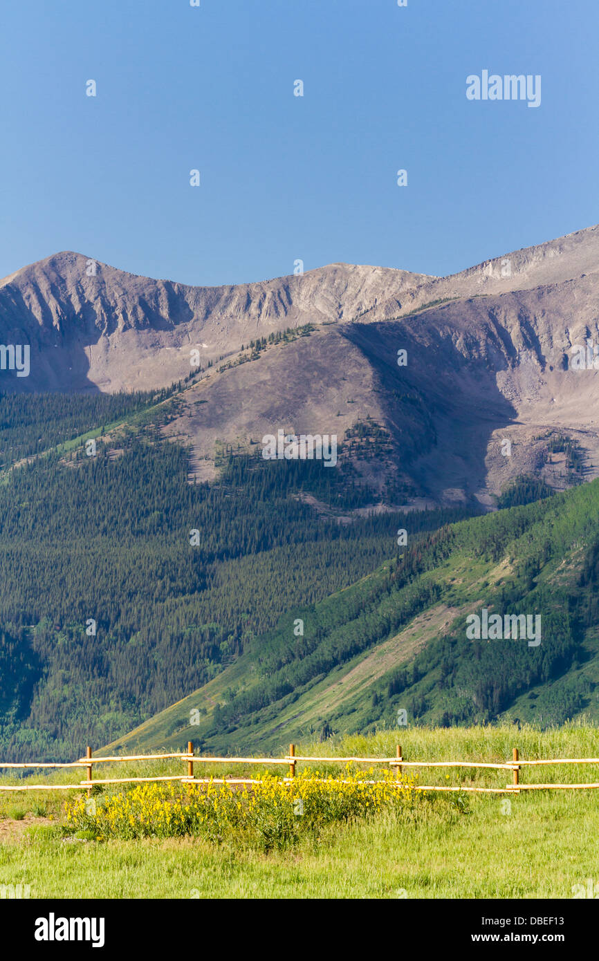 Valley covered with yellow wildflowers in Colorado Stock Photo - Alamy