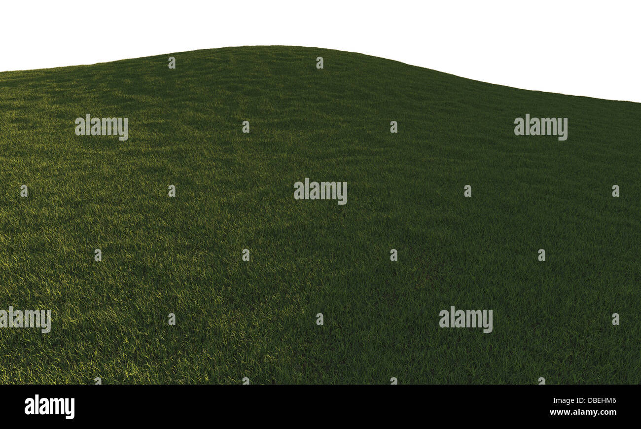 Green grass isolated on white made in 3d software Stock Photo - Alamy