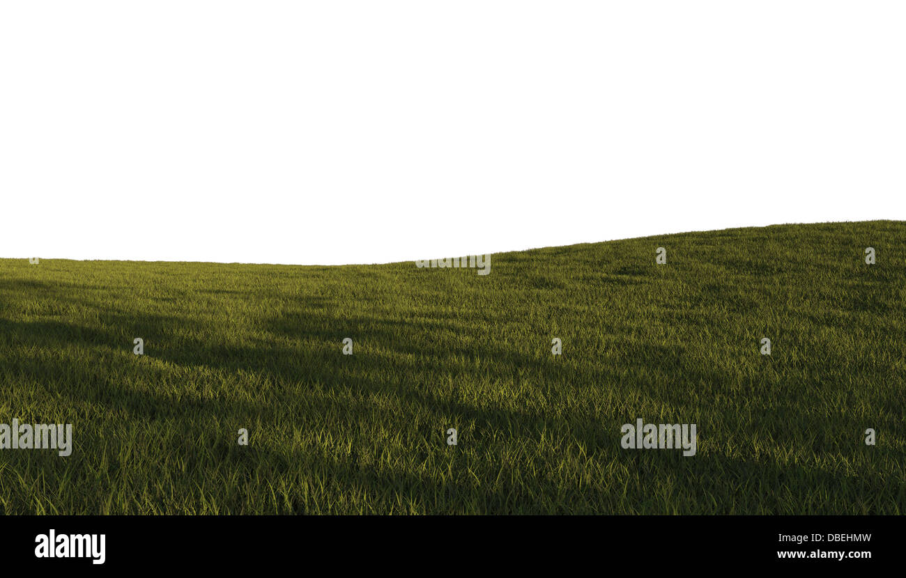 Green grass isolated on white made in3d software Stock Photo - Alamy
