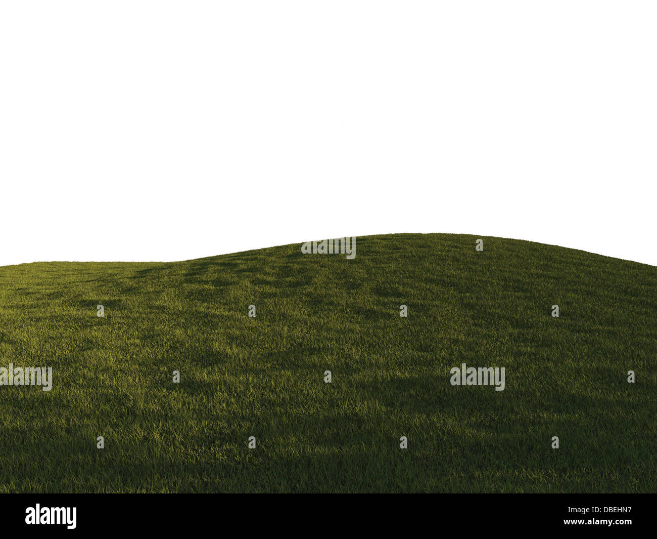 Green grass isolated on white made in3d software Stock Photo - Alamy