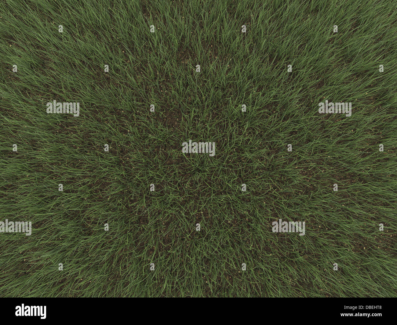 Perfect Grass in made in 3d software Stock Photo - Alamy