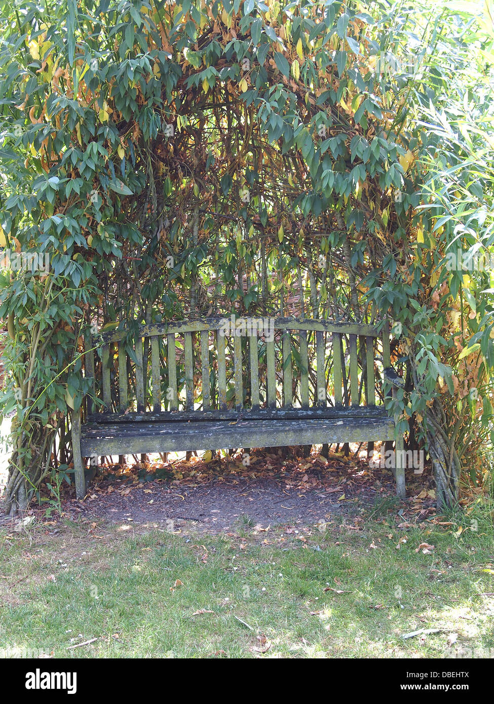 Hidden bench in the remote corner of a large garden, July 2013 Stock ...