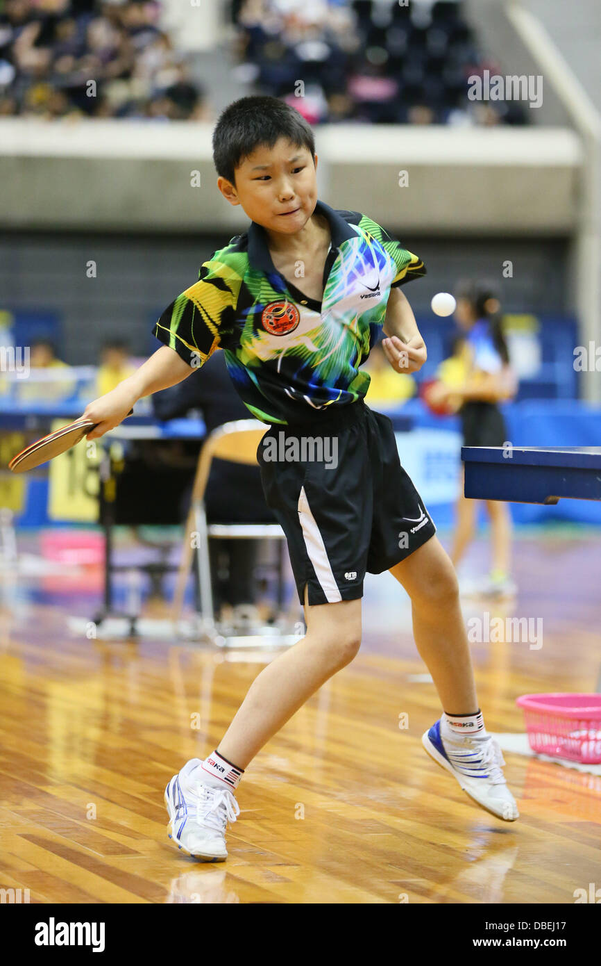 Hyogo, Japan. 28th July 2013. Table Tennis : All Japan Table Tennis ...