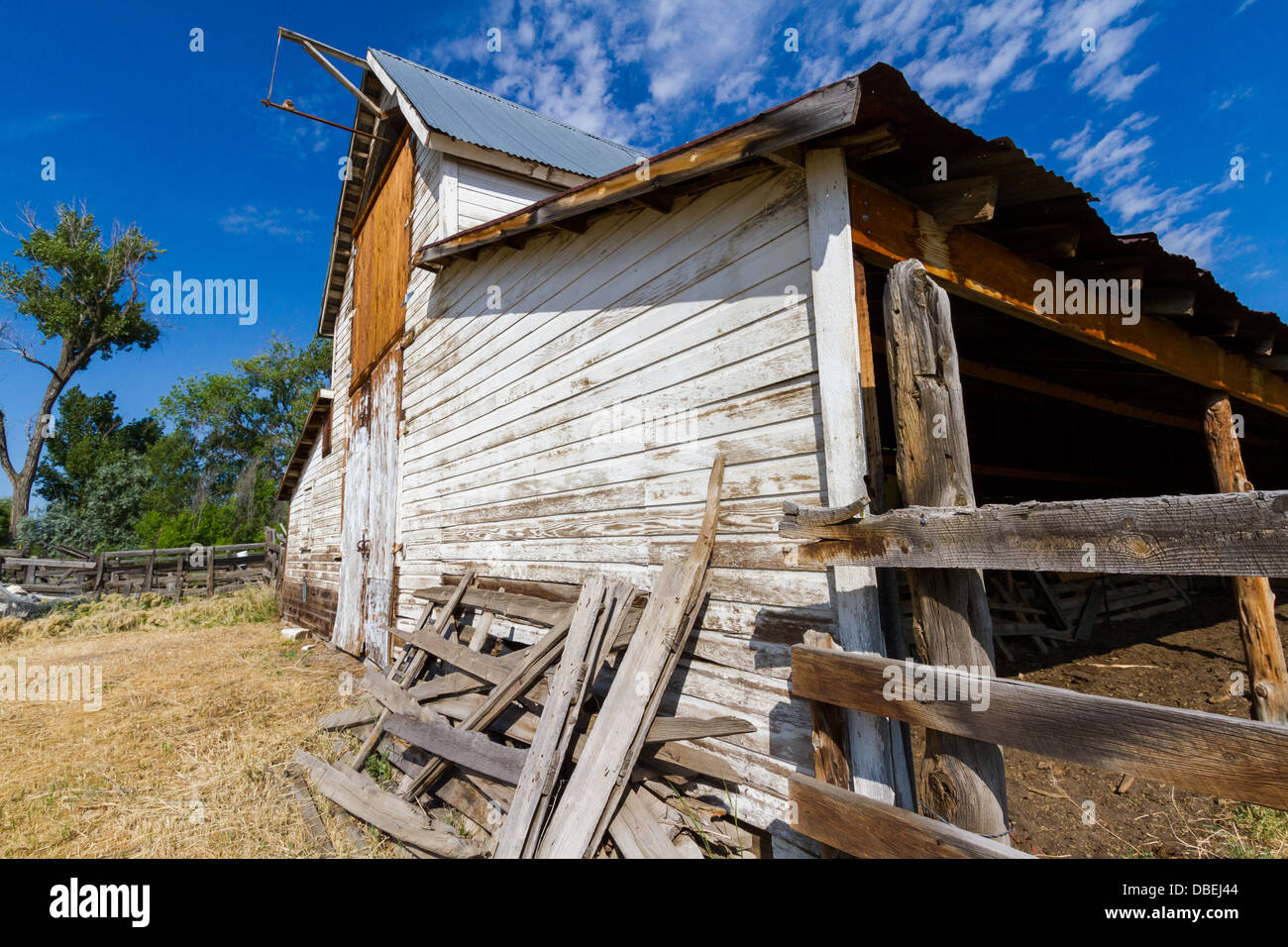 Old white barn with farm yard Stock Photo - Alamy