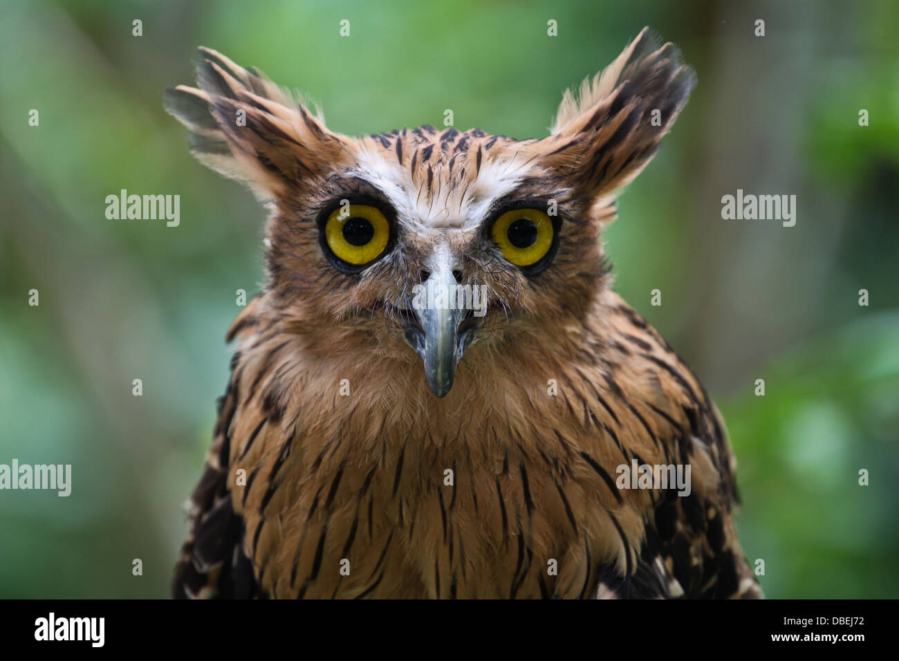 Ghost gallery hi-res stock photography and images - Alamy