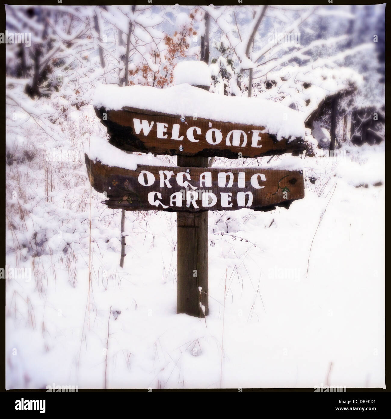 'Organic garden' sign in snowy landscape Stock Photo - Alamy
