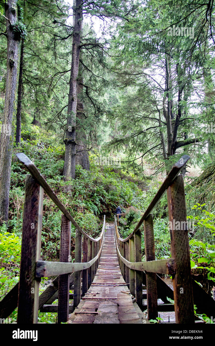 Nehalem oregon hi-res stock photography and images - Alamy