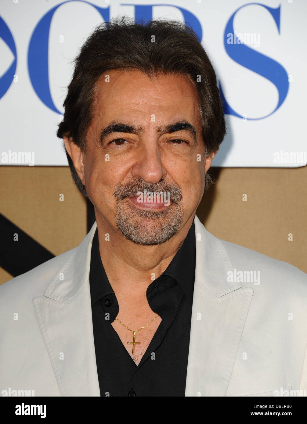 Los Angeles, California, USA. 29th July, 2013. Joe Mantegna attending ...
